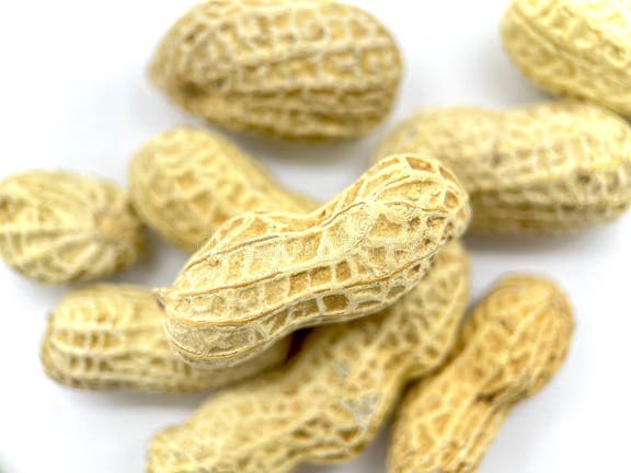A Generous Pile of Peanuts Still in Their Shells Placed on a White ...