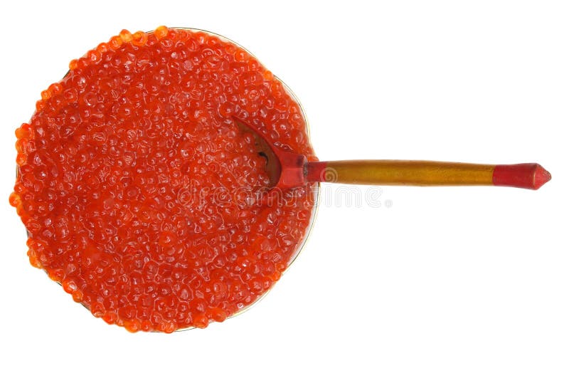 Generous snack stock image. Image of appetizer, trout - 12352191