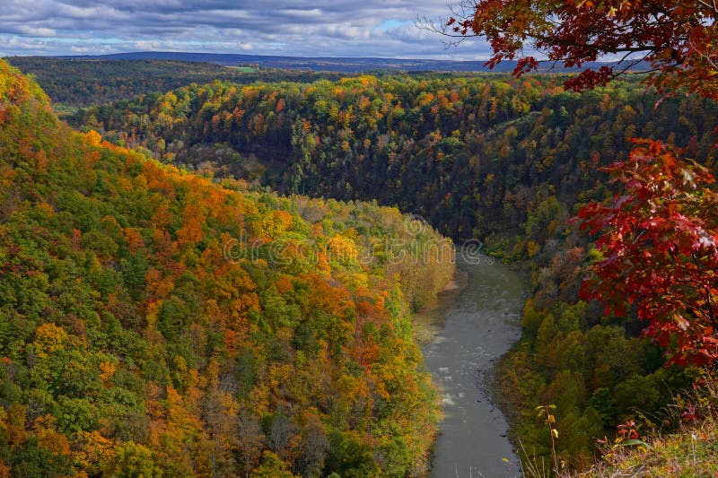Genesee River Surrounded by Fall Color in Letchworth State Park Stock ...