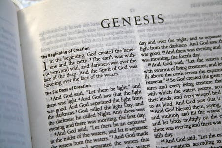 Genesis 1 Bible verse stock photo. Image of bible, love - 7577854