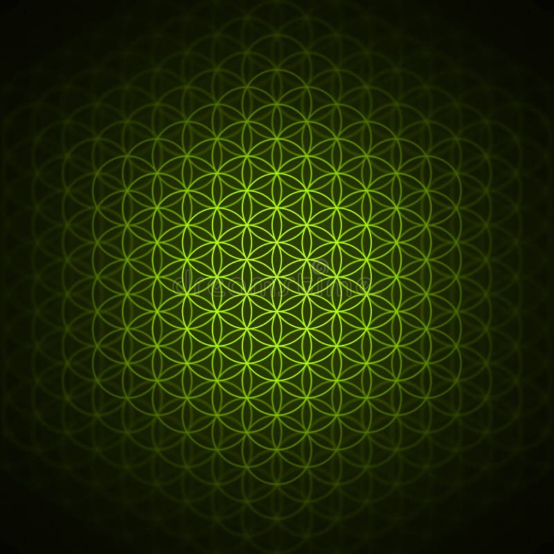 Flower of Life stock image. Image of flower, petals, spiritualism ...