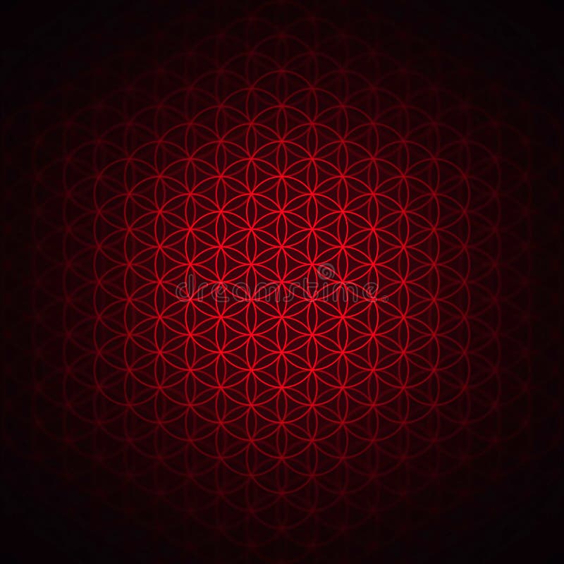 Flower of Life stock image. Image of flower, petals, spiritualism ...