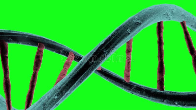 Genetic Code DNA Structure Double Helix Green Screen Stock Footage ...