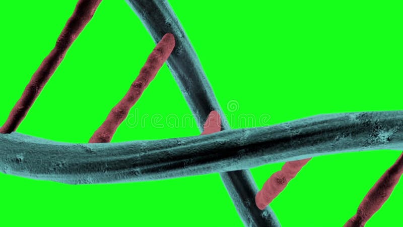 Genetic Code DNA Structure Double Helix Long Green Screen Stock Footage ...