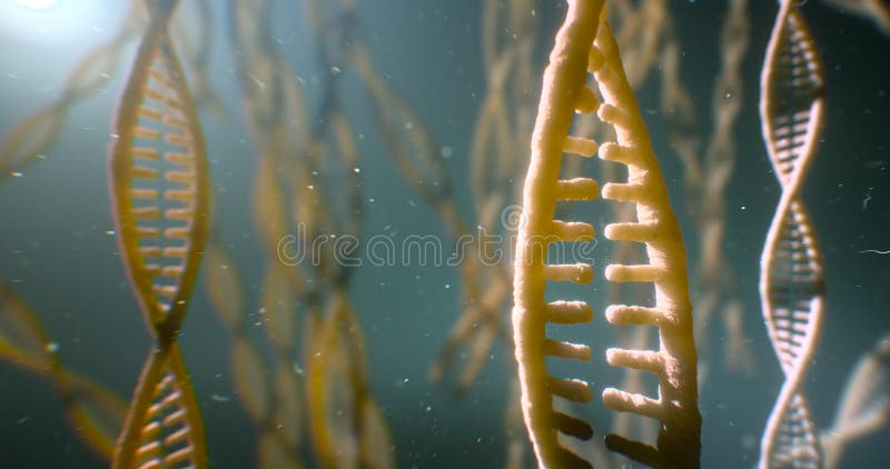 Dna Strand Structure Seamless Loopable Animation 4k UHD Stock Footage ...