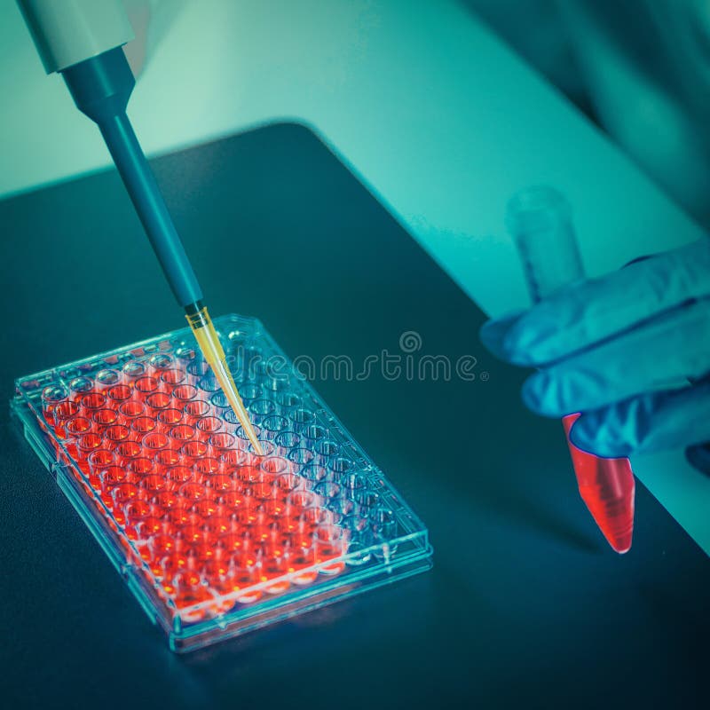 Genetic engineering stock photo. Image of sample, medical - 275391868