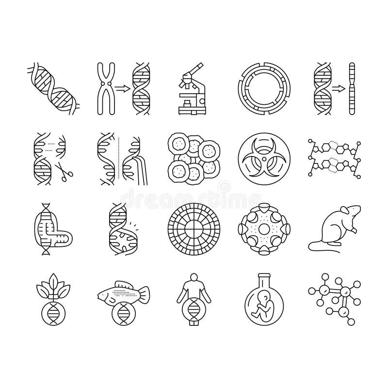 Crispr Genome Black Contour Illustrations Stock Illustrations – 3 ...