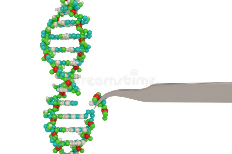 Genetic Engineering and Gene Manipulation Concept Tweezers is Replacing ...