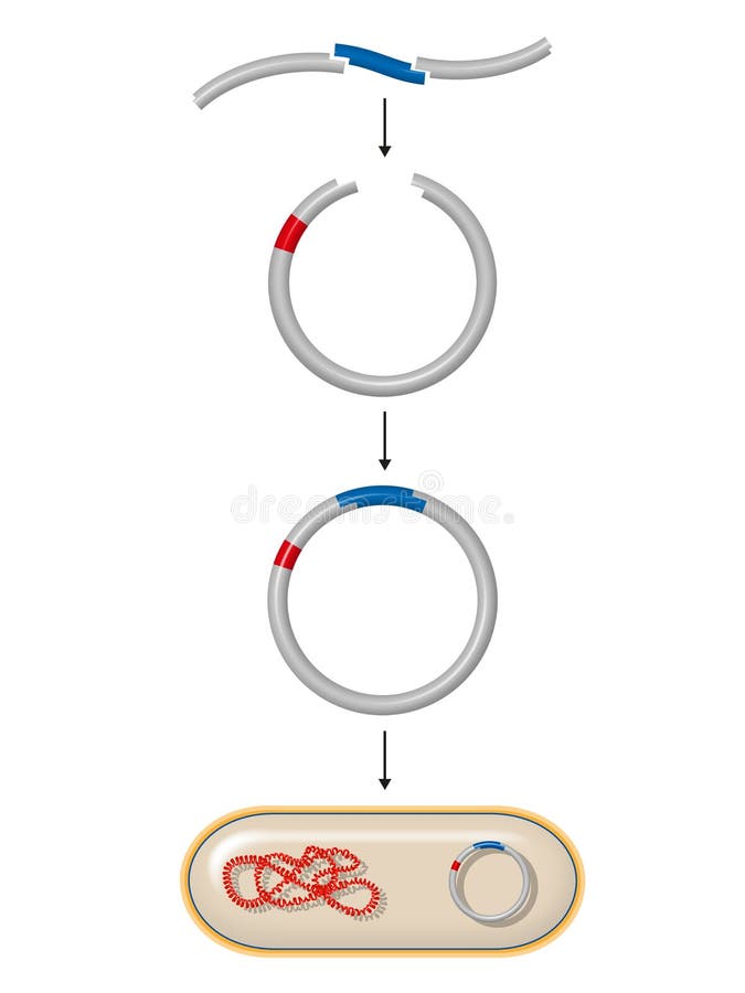 Targeted Therapy Icon Stock Illustrations – 42 Targeted Therapy Icon ...