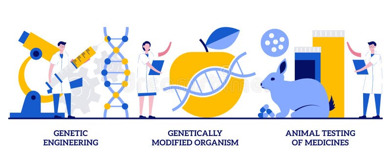 Genetic Engineering, Genetically Modified Organism, Animal Testing of ...