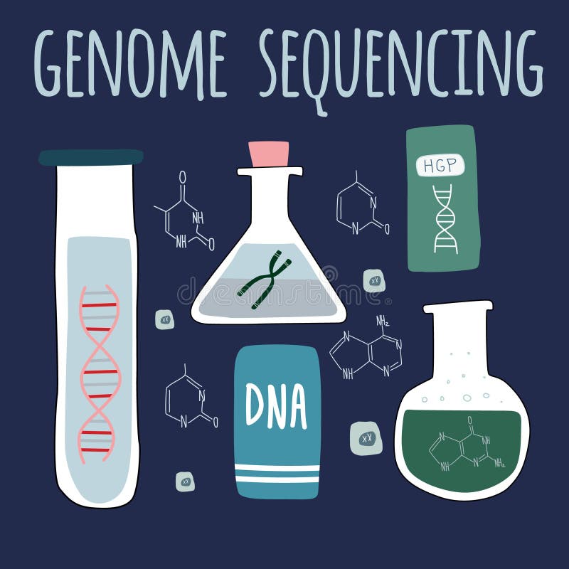 Rna Sequencing Stock Illustrations – 148 Rna Sequencing Stock ...