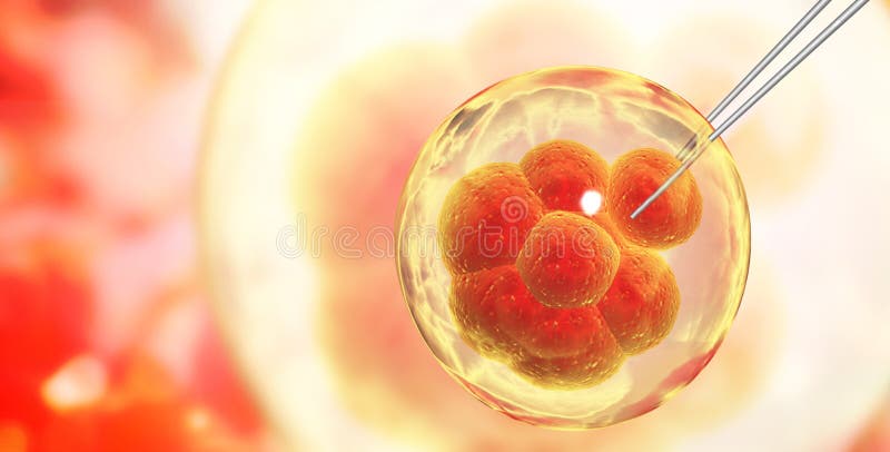 Genetic Engineering, GMO and Gene Manipulation Concept Stock ...