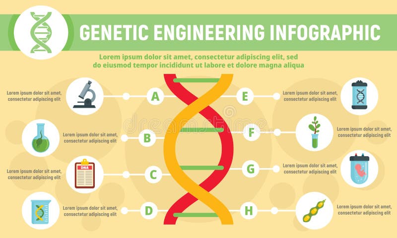 DNA Infographic. Genetic Spiral, Genomic Model Molecule Diagram and Adn ...