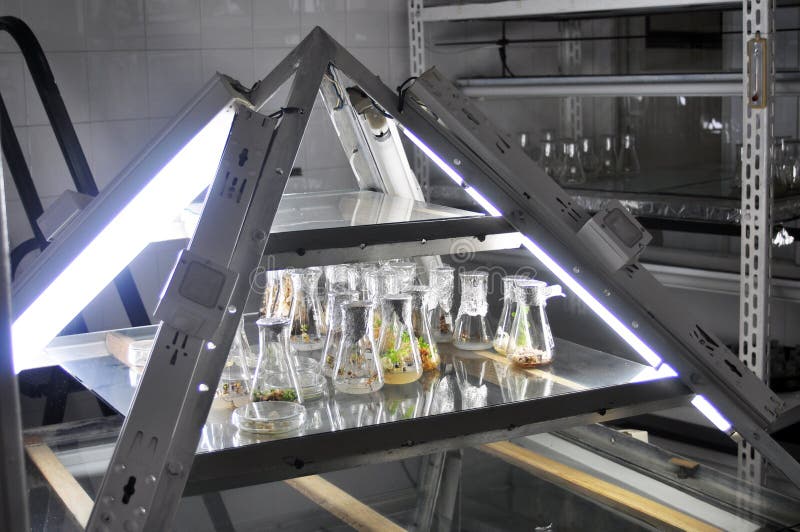 Genetic engineering stock photo. Image of laboratory - 30367240