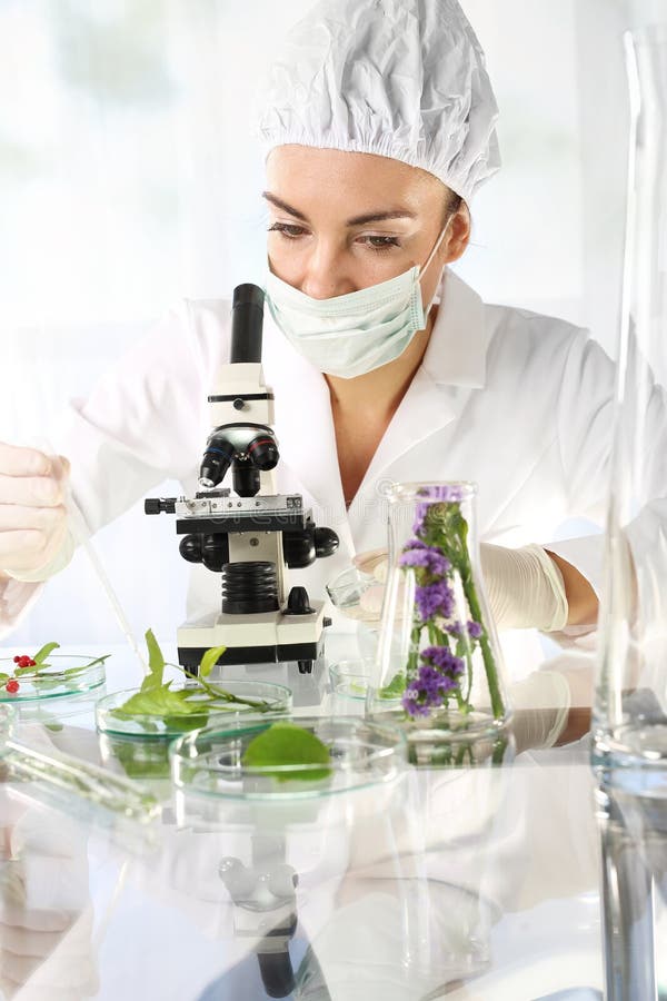 Genetic Engineering of Plants, Laboratory Testing. Stock Photo - Image ...