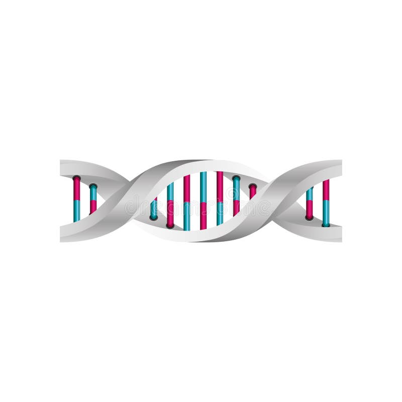 Genetic Information Dna with Bases in Color Stock Vector - Illustration ...