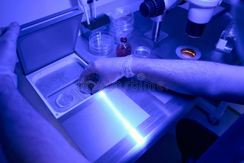 Genetic Laboratory Worker Conducting Research in Uv Light Stock Photo ...
