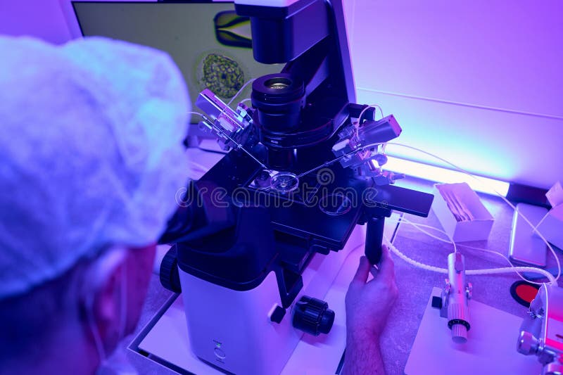 Genetic Laboratory Worker Looking on Cell at Display Stock Photo ...