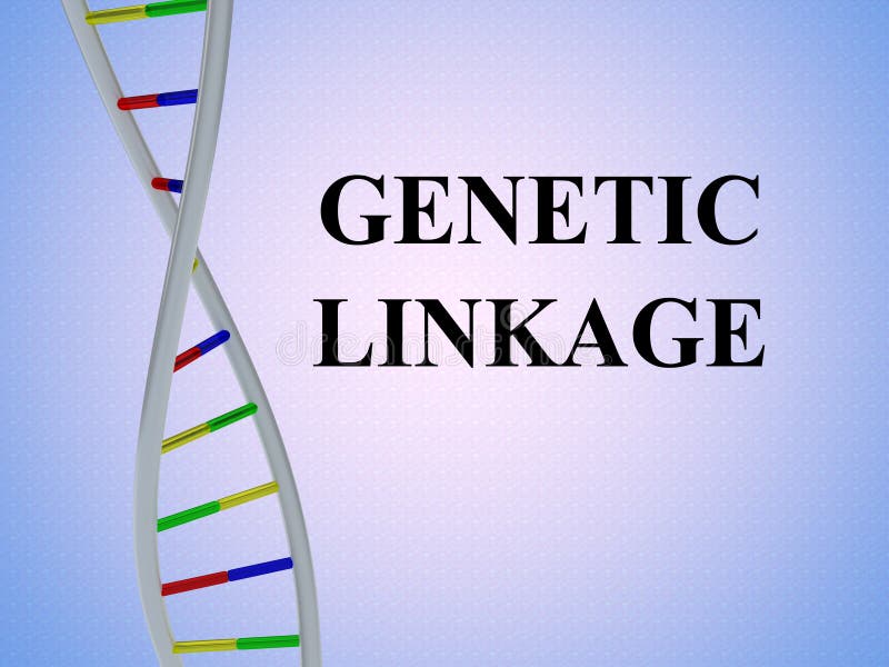 Genetic Linkage concept stock illustration. Illustration of data - 98488040
