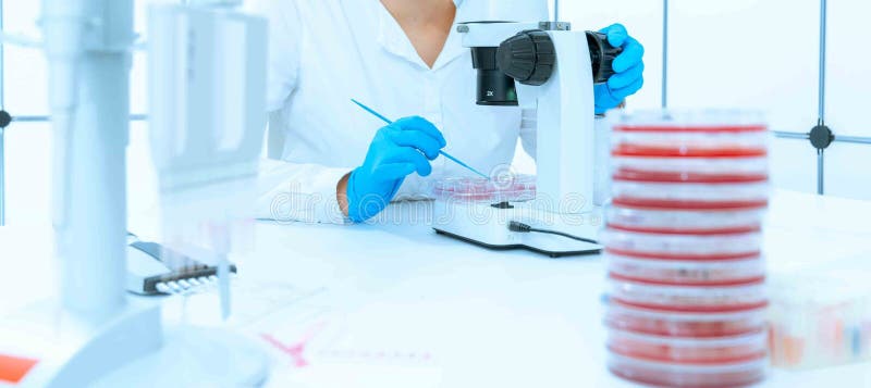 Genetic Material Examination: Microscopy is Used To Study DNA, RNA, an ...