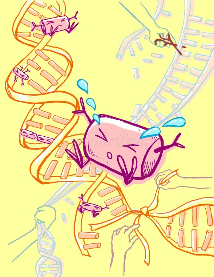 Genetic Modification Engineering Stock Illustration - Illustration of ...