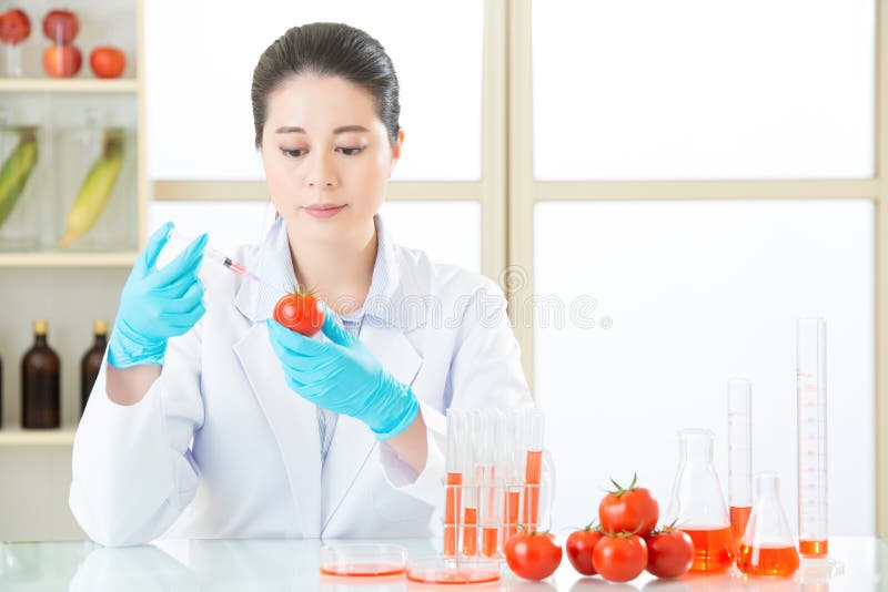 Genetic Modification Food are All Develop from Laboratory Stock Image ...