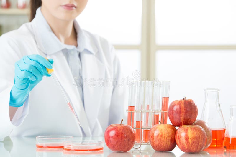 Genetic Modification Food are Everywhere Around the World Stock Image ...