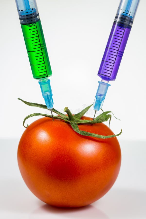 Genetic modification stock image. Image of close, customized - 48206491