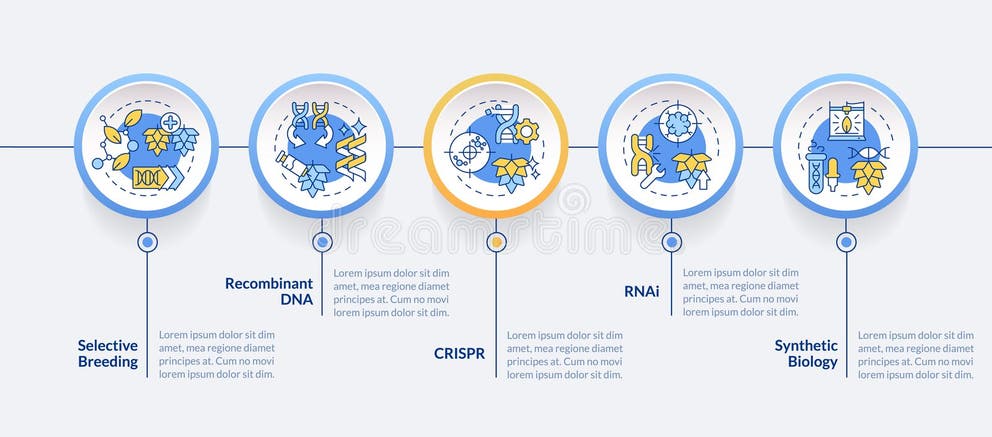 Genetic Modified Cultivation Circle Infographic Template Stock Vector ...