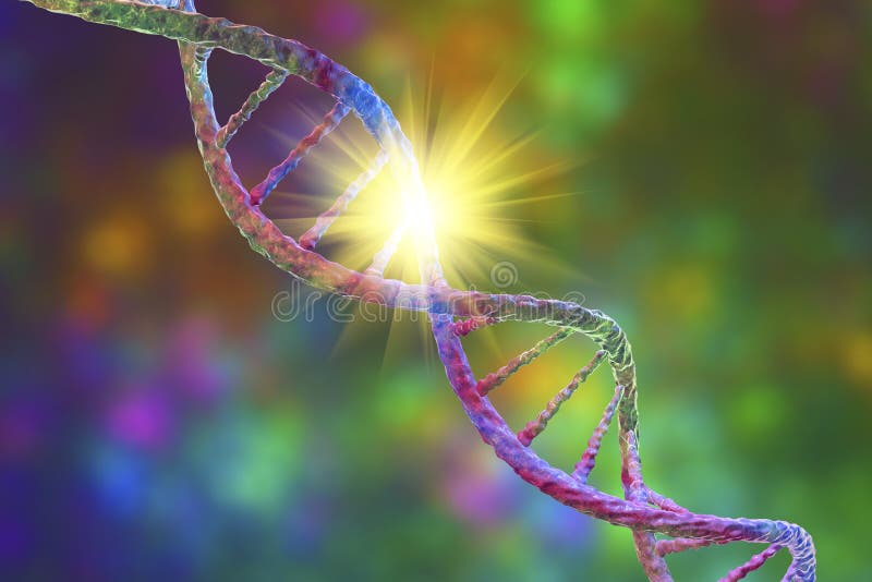 Genetic Mutation, Conceptual 3D Illustration. Double Stranded DNA with ...