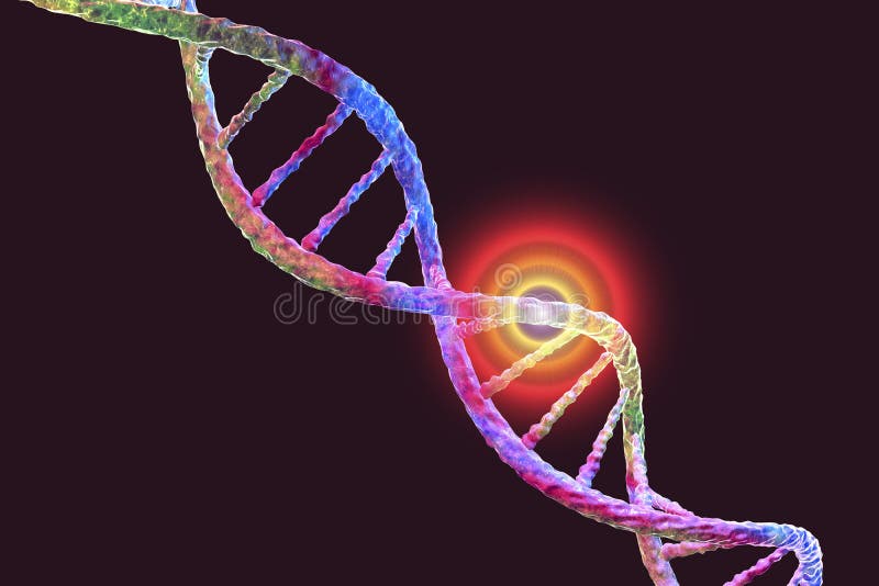 Genetic Mutation, Conceptual 3D Illustration. Double Stranded DNA with ...