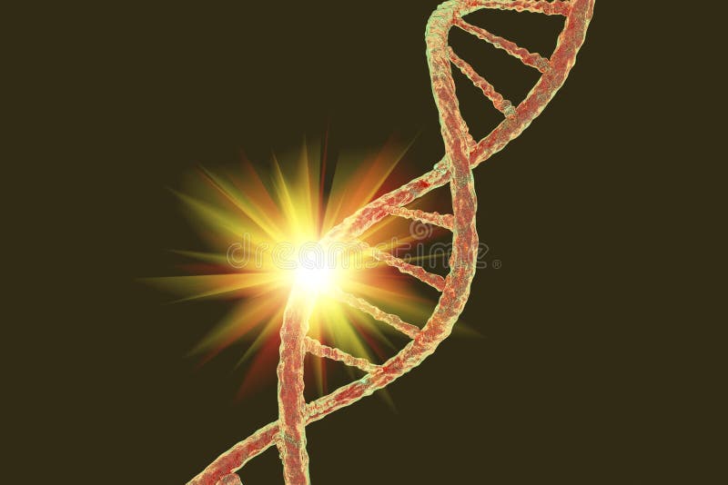 Genetic Mutation, Conceptual 3D Illustration. Double Stranded DNA ...