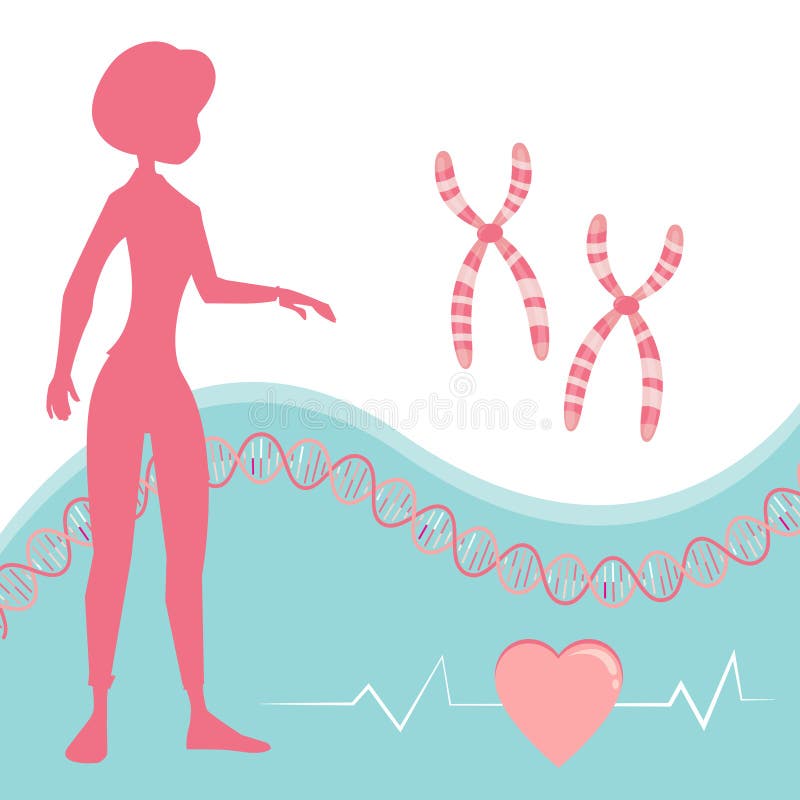 Genetic Risk for Heart Disease Vector Illustration Background Graphic ...
