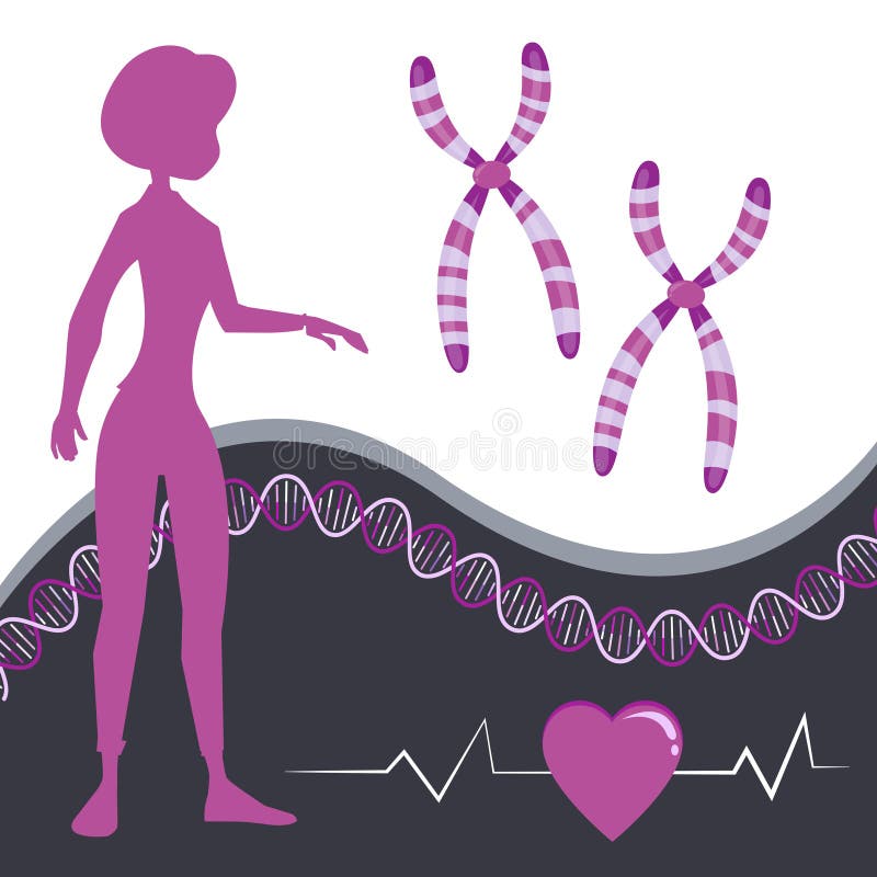 Genetic Risk for Heart Disease Vector Illustration Background Graphic ...