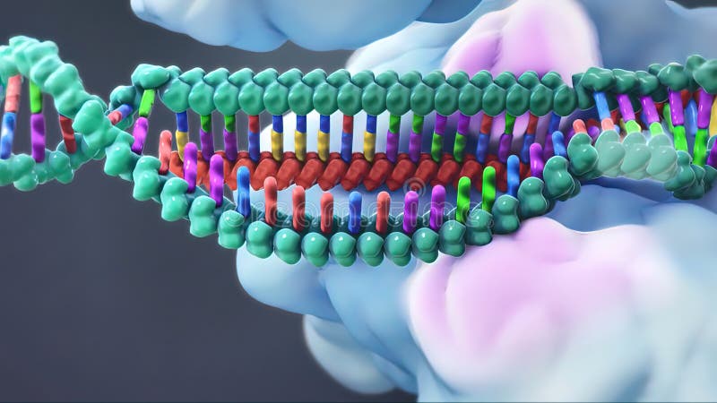 The Genetic Structure of 3D Animated DNA Stock Illustration ...
