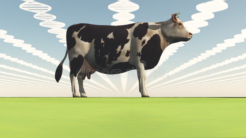 Genetically modified cow stock illustration. Illustration of animal ...