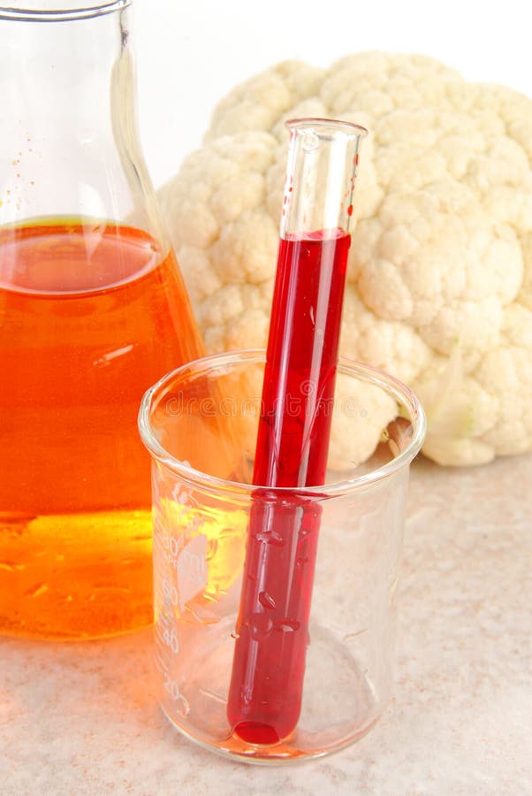 Genetically modified food stock image. Image of broccoli - 17229103