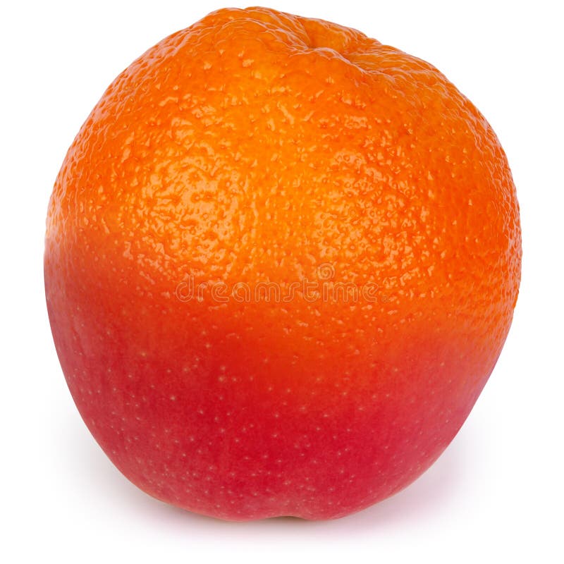 Genetically modified food stock image. Image of ripe - 36384811