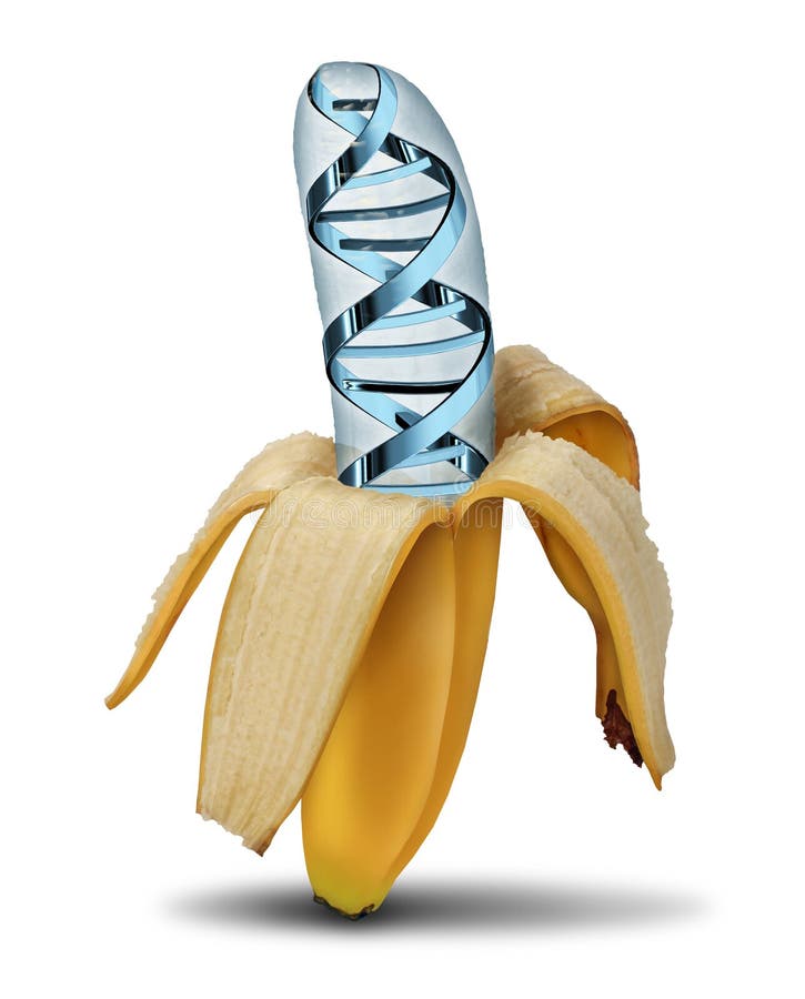 Genetically Modified Food stock illustration. Illustration of modified ... Genetically Modified Food stock illustration. Illustration of modified ...