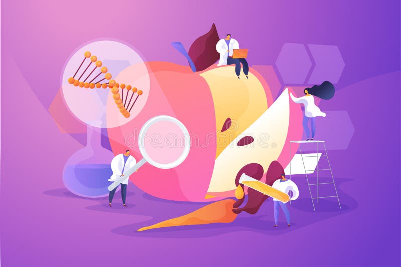 Genetically Modified Foods Concept Vector Illustration Stock Vector ...