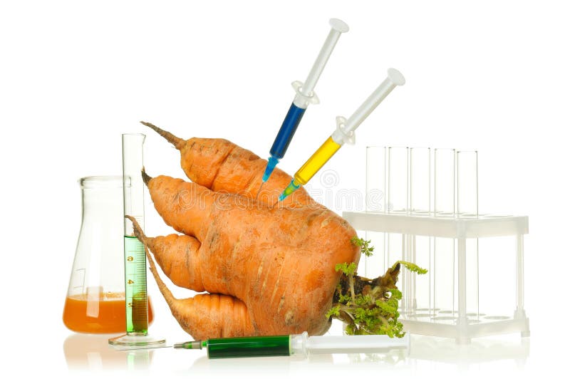 Genetically Modified Organism Stock Photo - Image of biotechnology ...