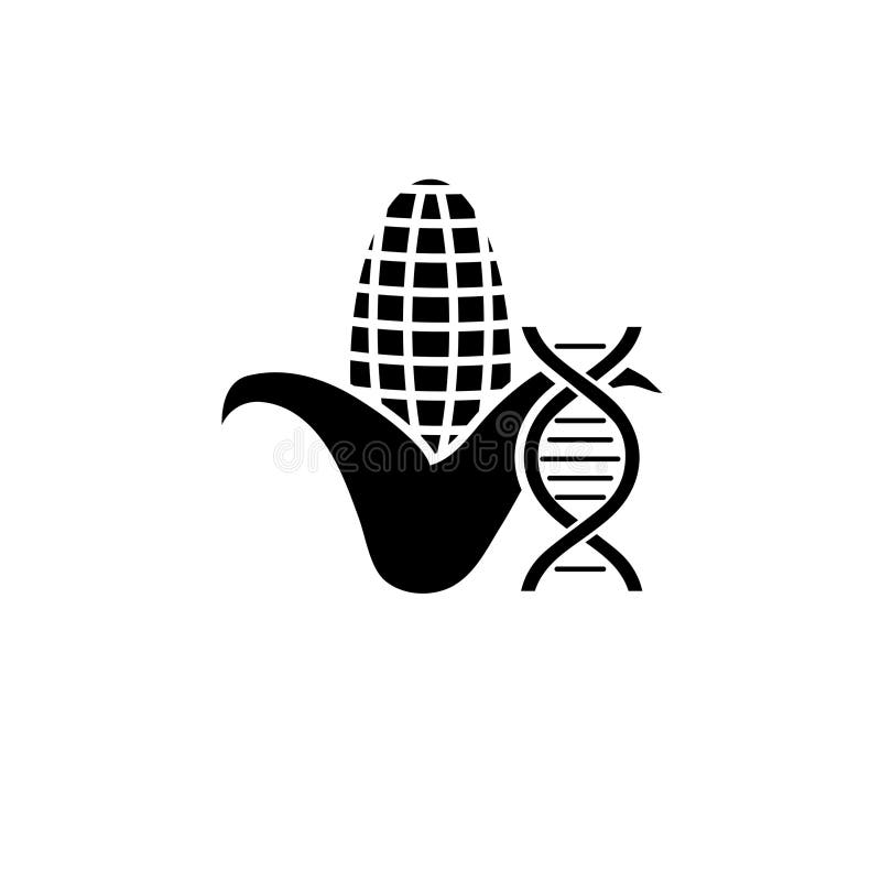 Genetically Modified Organisms Corn Solid Flat Vector Icon Isolated on ...