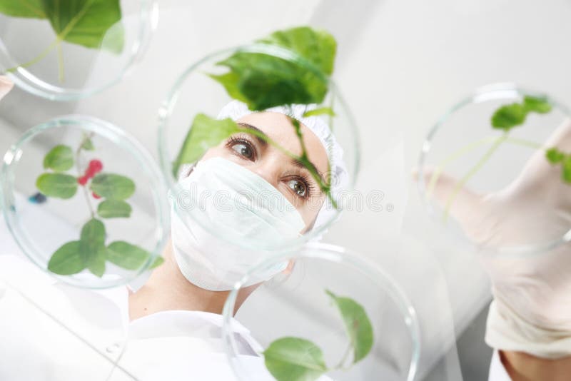 231 Modified Samples Stock Photos - Free & Royalty-Free Stock Photos ...