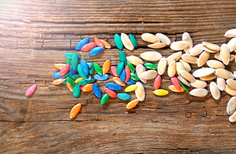 480 Modified Seeds Photos - Free & Royalty-Free Stock Photos from ...