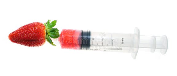 Genetically Modified Strawberry, Food Science Stock Photo - Image of ...