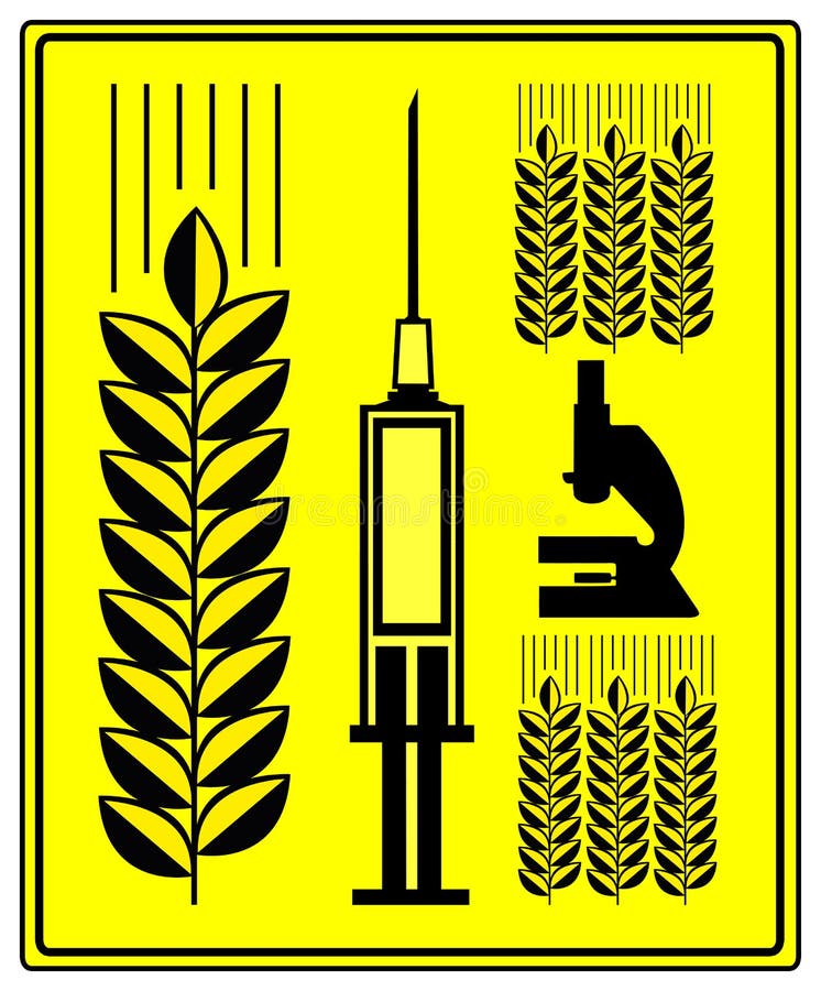 Genetically Modified Wheat stock illustration. Illustration of warning ...