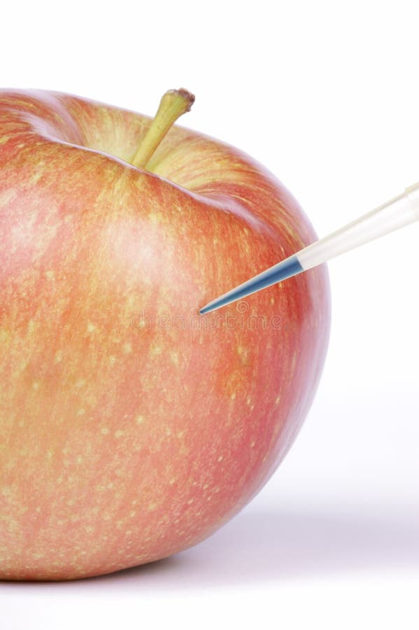 Genetically Modifying an Apple Stock Photo - Image of injection, view ...