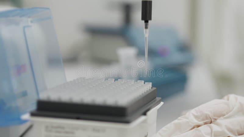 A Genetics Laboratory Researcher Drops Samples with a Pipette. Stock ...