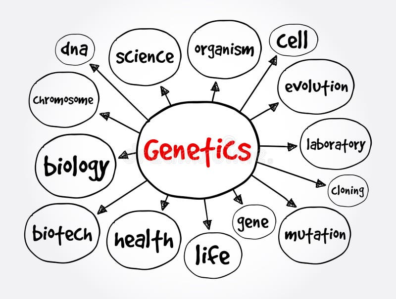 Genetics Mind Map, Medical Concept for Presentations and Reports Stock ...
