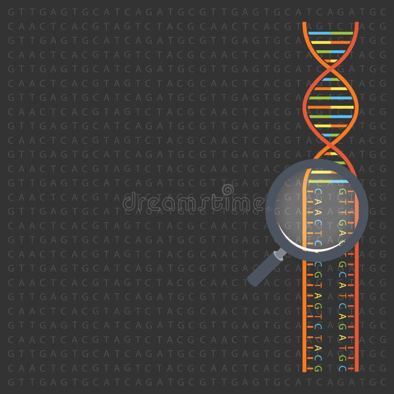 Genetik DNA-Struktur vektor abbildung. Illustration von experiment ...